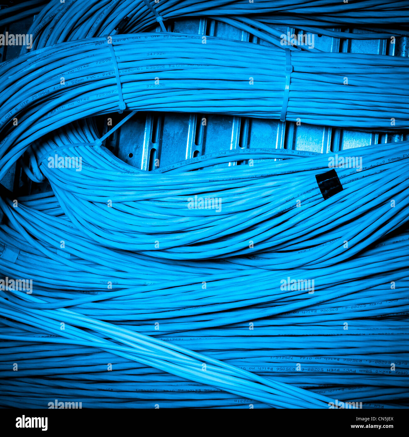 close up of network cables Stock Photo - Alamy