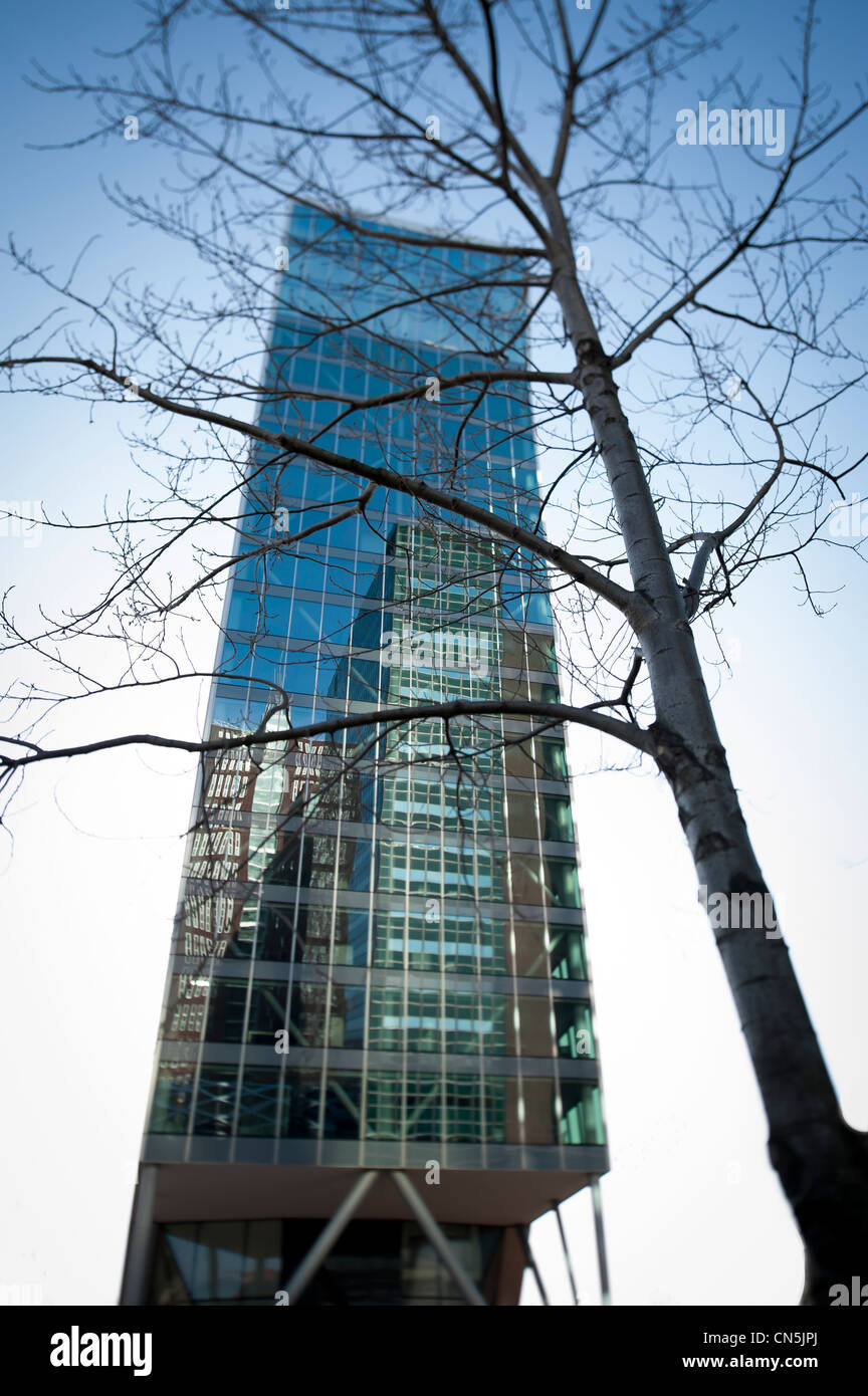 White leafless tree in front of green office building reflecting ...