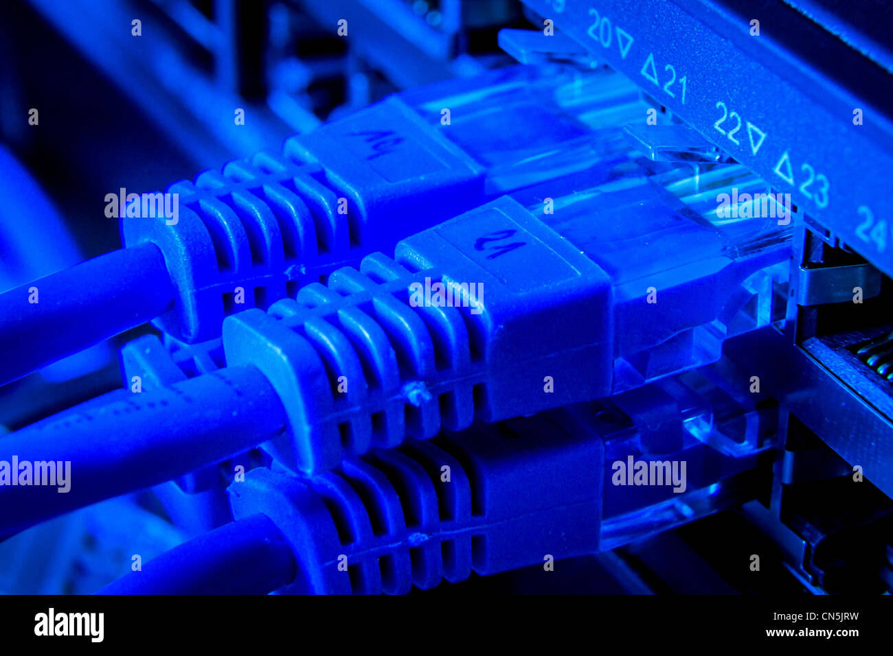 network cables connected to hub Stock Photo - Alamy
