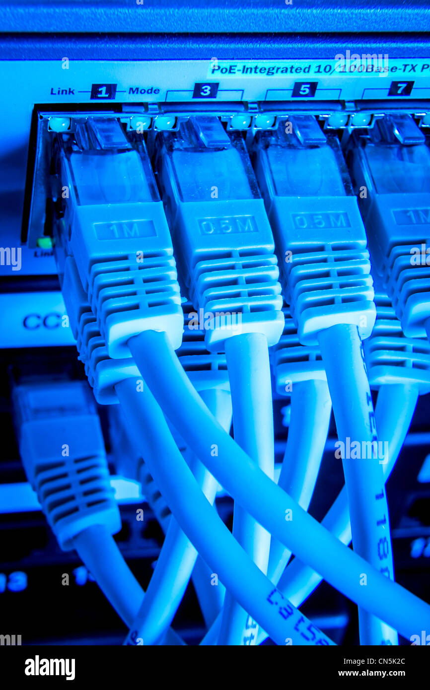 close up of network cables connected to switch Stock Photo - Alamy