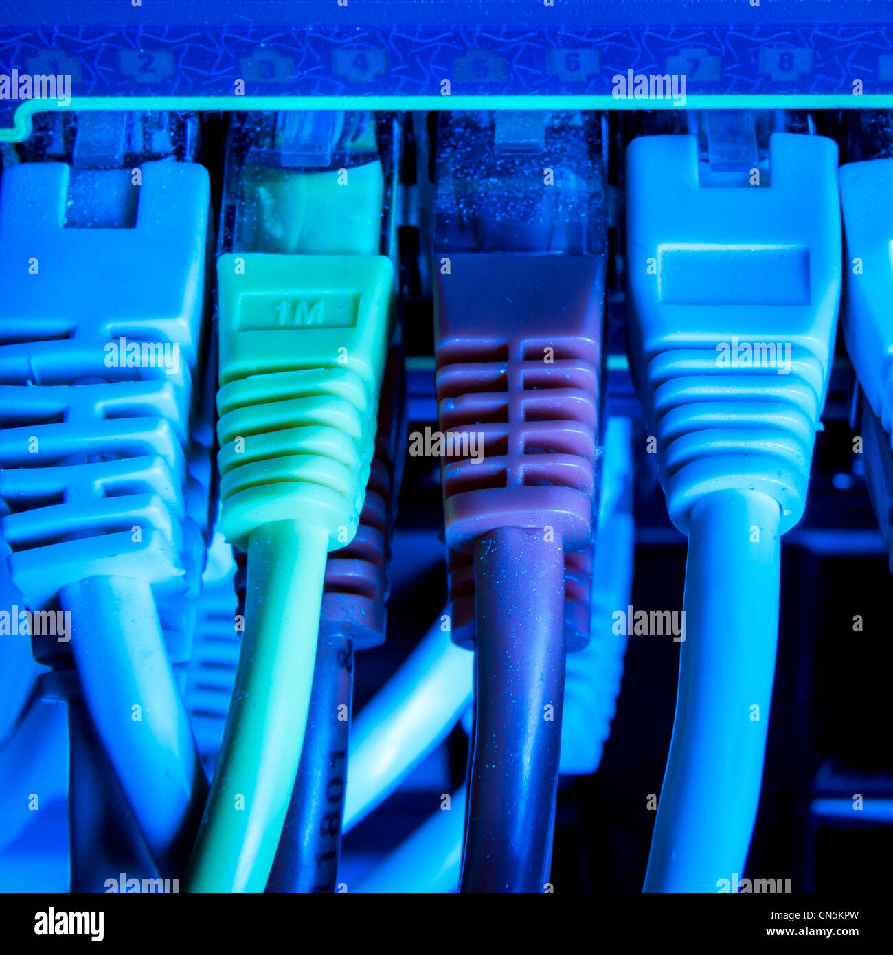 close up of network cables connected to switch Stock Photo - Alamy