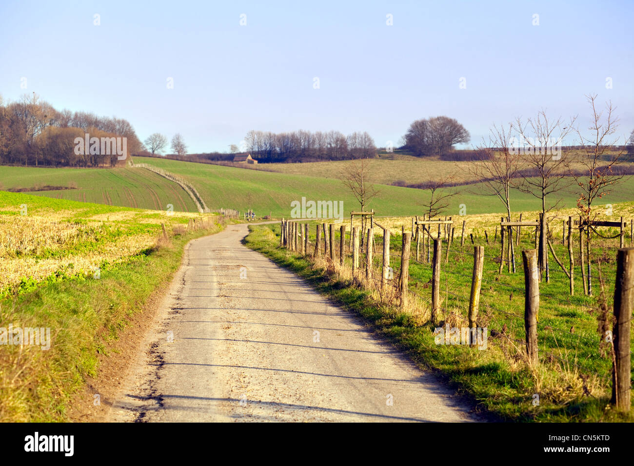 rural ground road in Limburg, Netherlands Stock Photo - Alamy