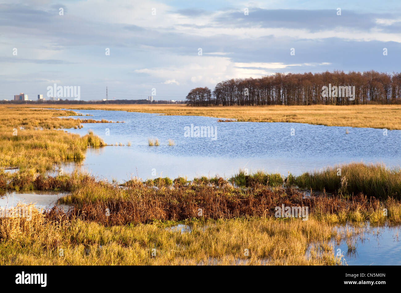 beautiful plain landscape with water and sky Stock Photo - Alamy