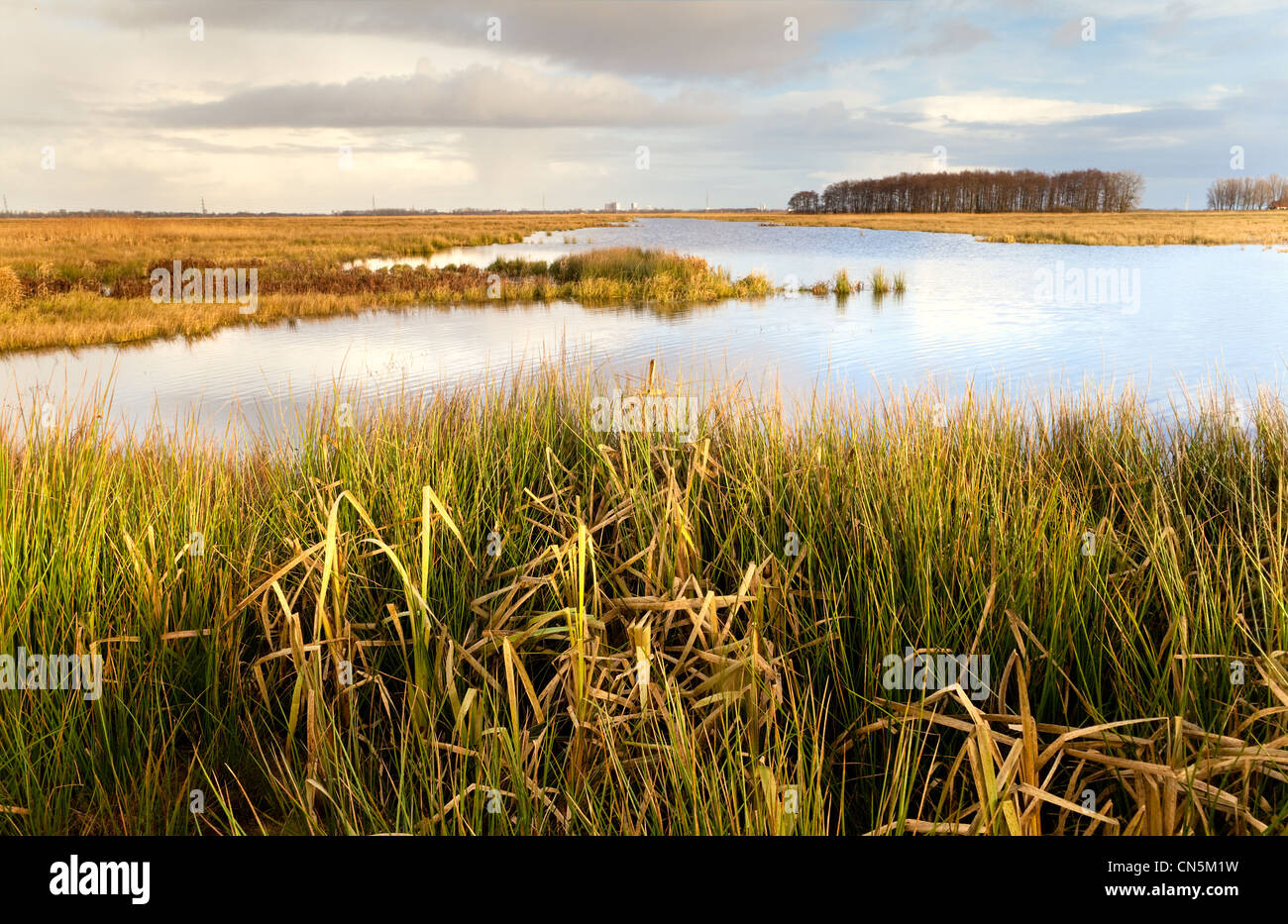 Water plain hi-res stock photography and images - Alamy