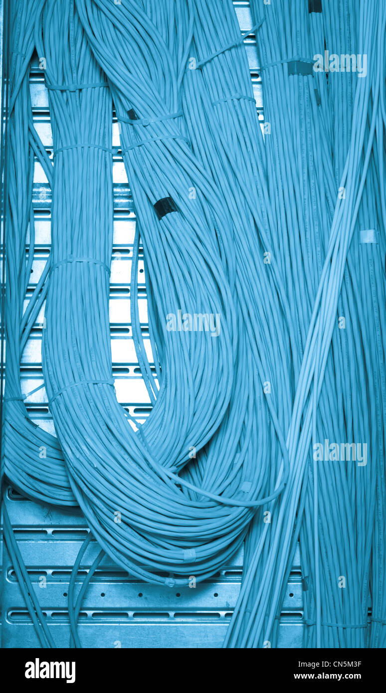 close up of network cables Stock Photo - Alamy