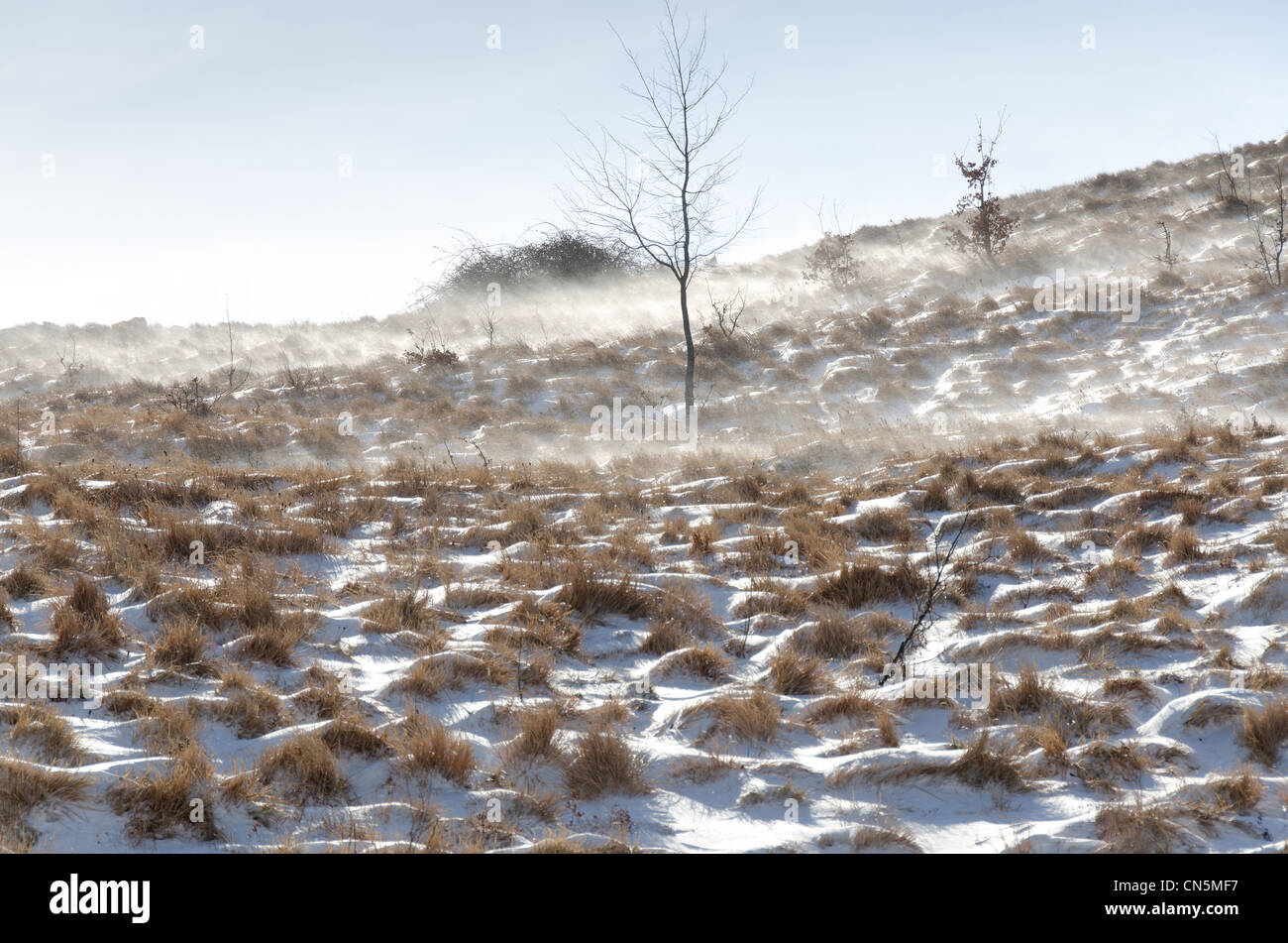 mountain with snow blown by the wind in Genoa in winter Stock Photo - Alamy