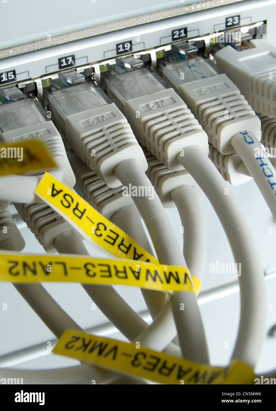 close up of network cables connected to switch Stock Photo - Alamy