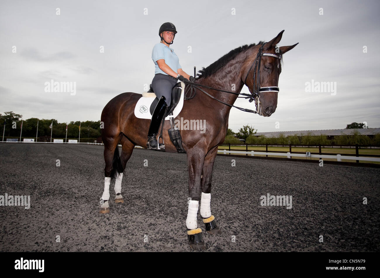 Horse and rider, England, UK Stock Photo - Alamy