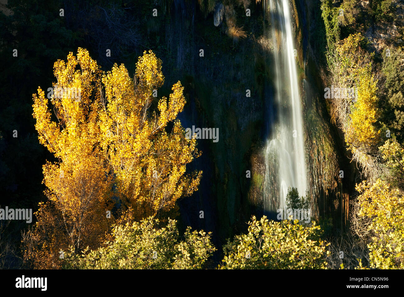 France, Var, Verdon Regional Natural Park, Sillans la Cascade, Bresque ...