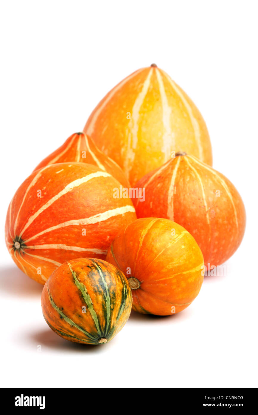 Group of yellow pumpkins isolated on a white background Stock Photo - Alamy