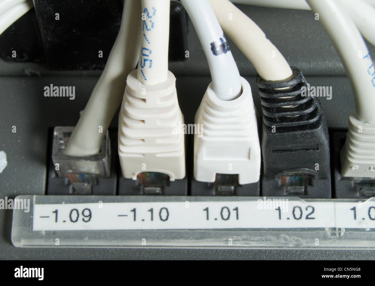 close up of network cables connected to switch Stock Photo - Alamy