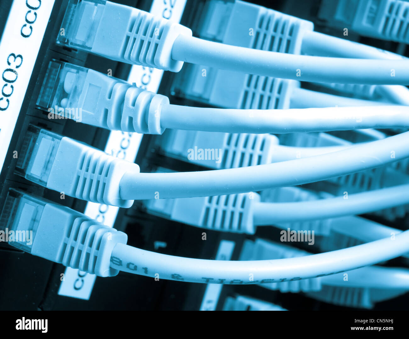 close up of network cables connected to switch Stock Photo - Alamy
