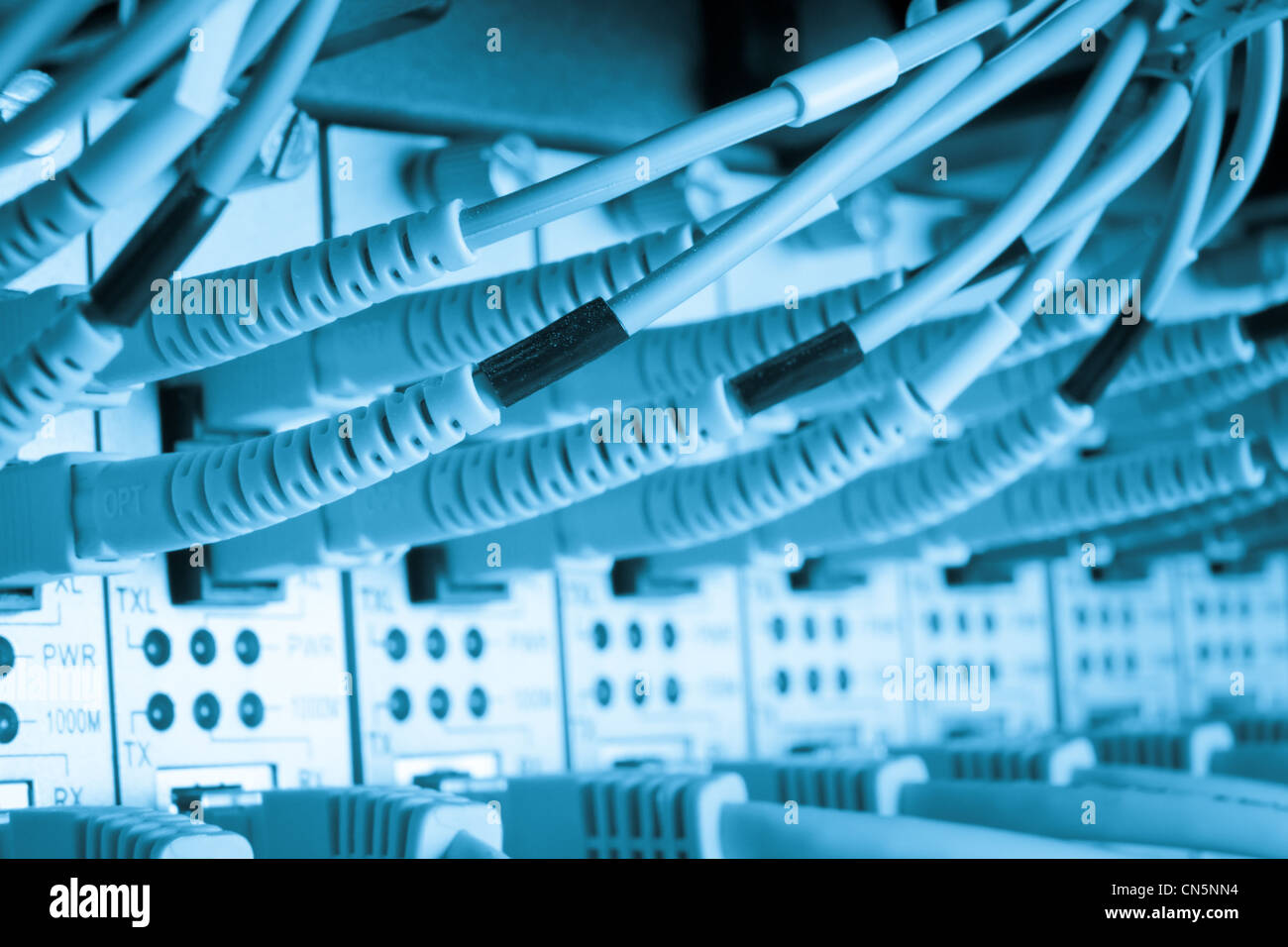 close up of network cables connected to switch Stock Photo - Alamy