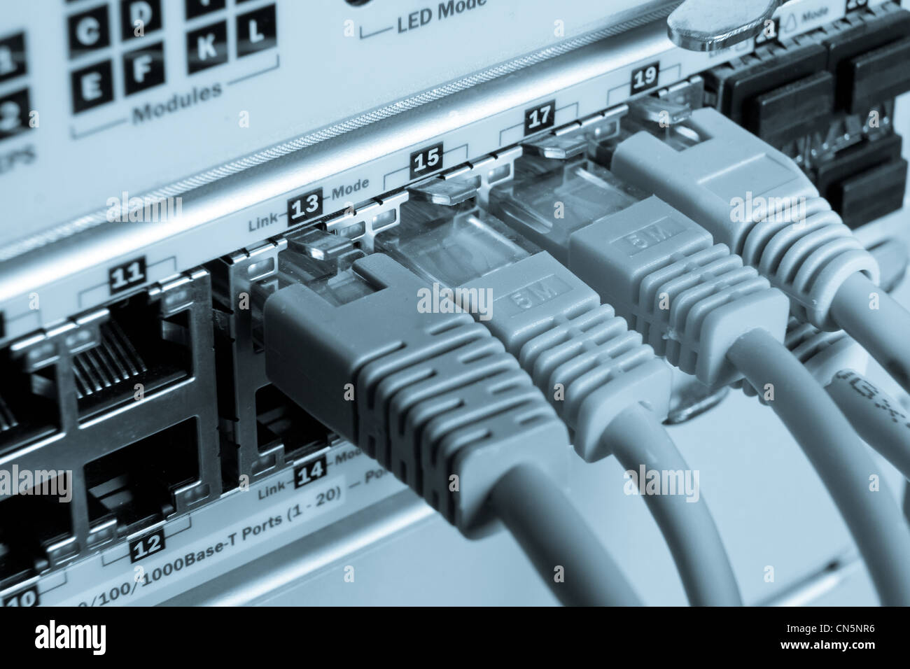 close up of network cables connected to switch Stock Photo - Alamy