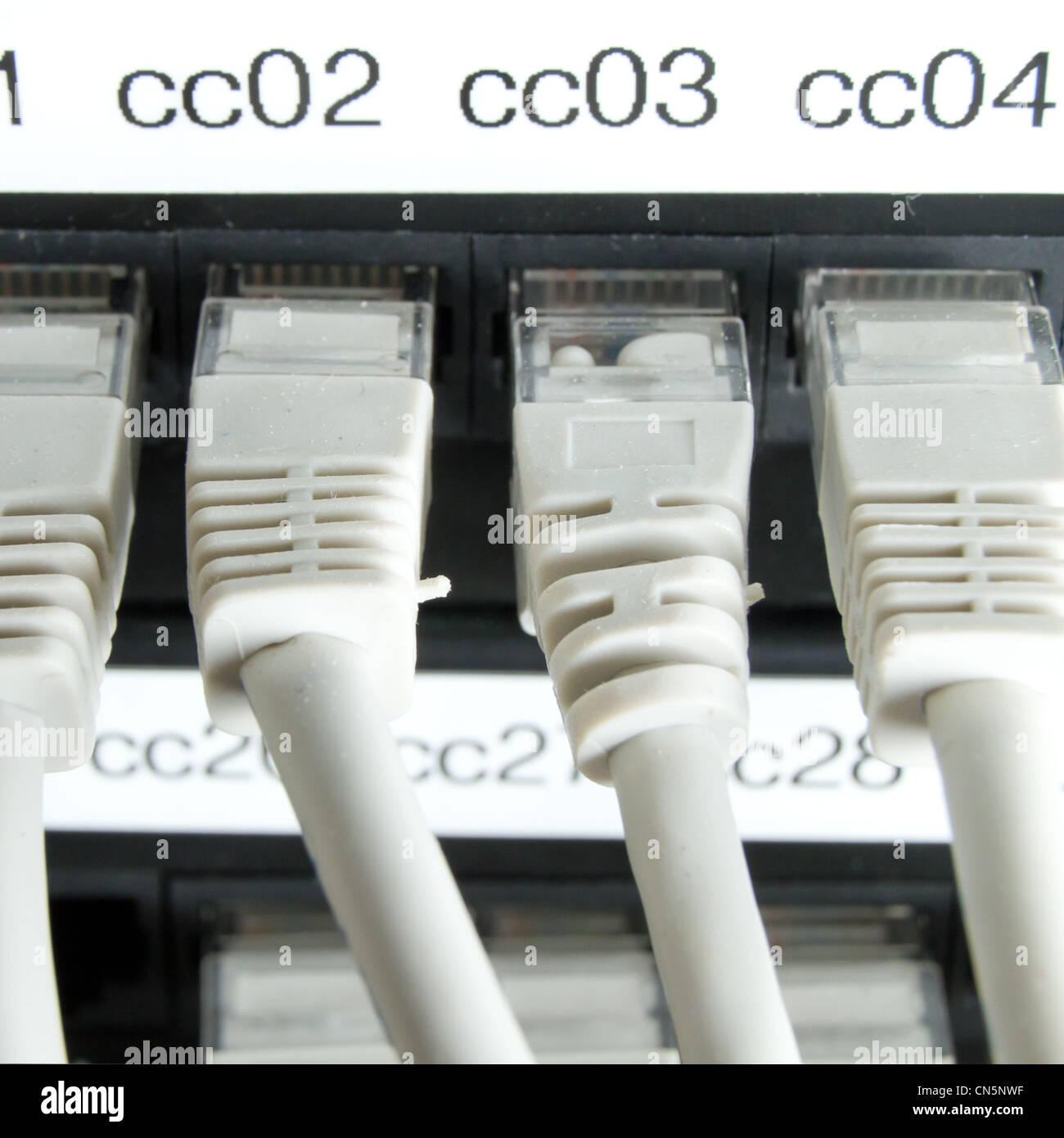 close up of network cables connected to switch Stock Photo - Alamy