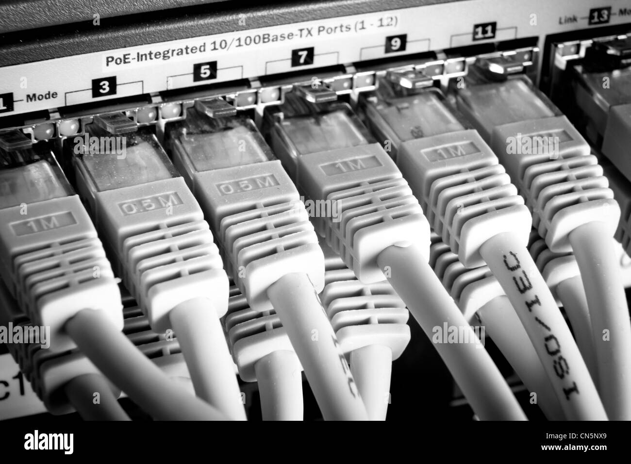 close up of network cables connected to switch Stock Photo - Alamy