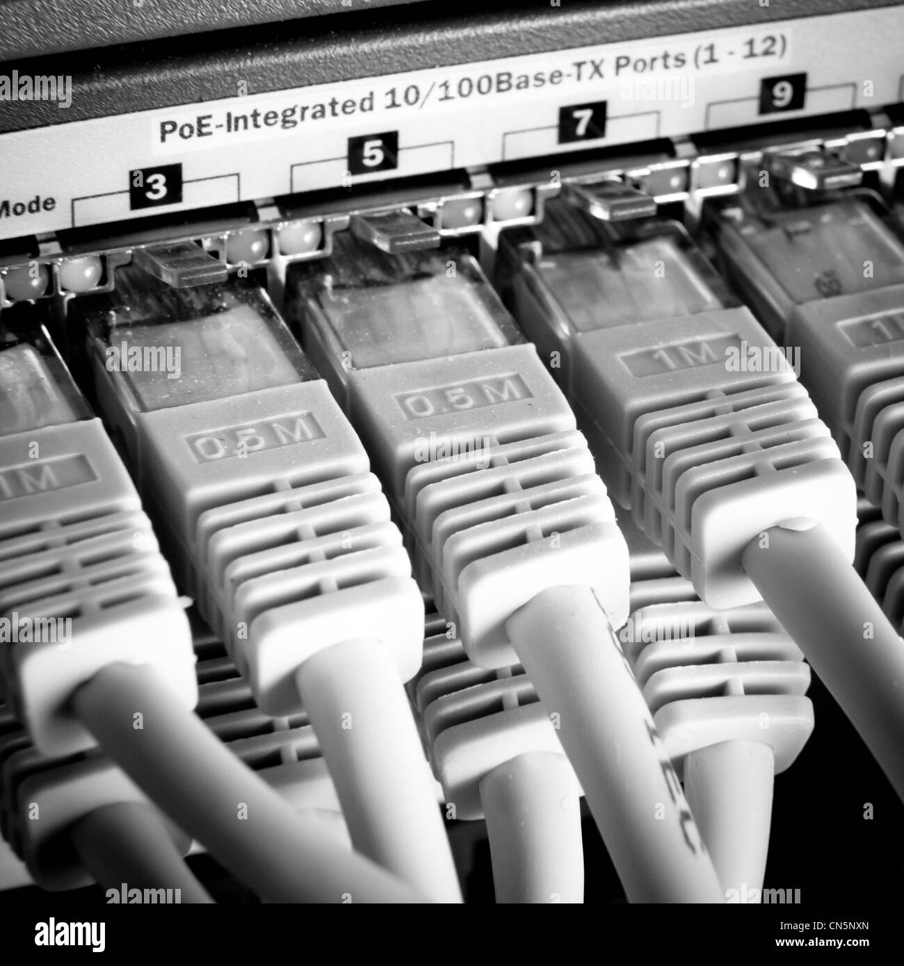 close up of network cables connected to switch Stock Photo - Alamy