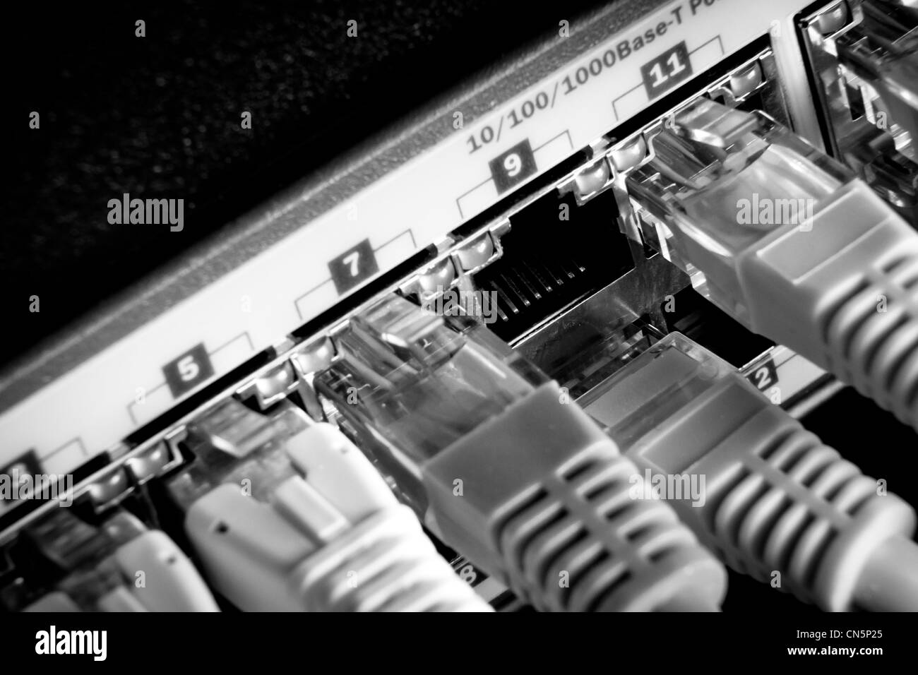 network cables connected to hub Stock Photo - Alamy