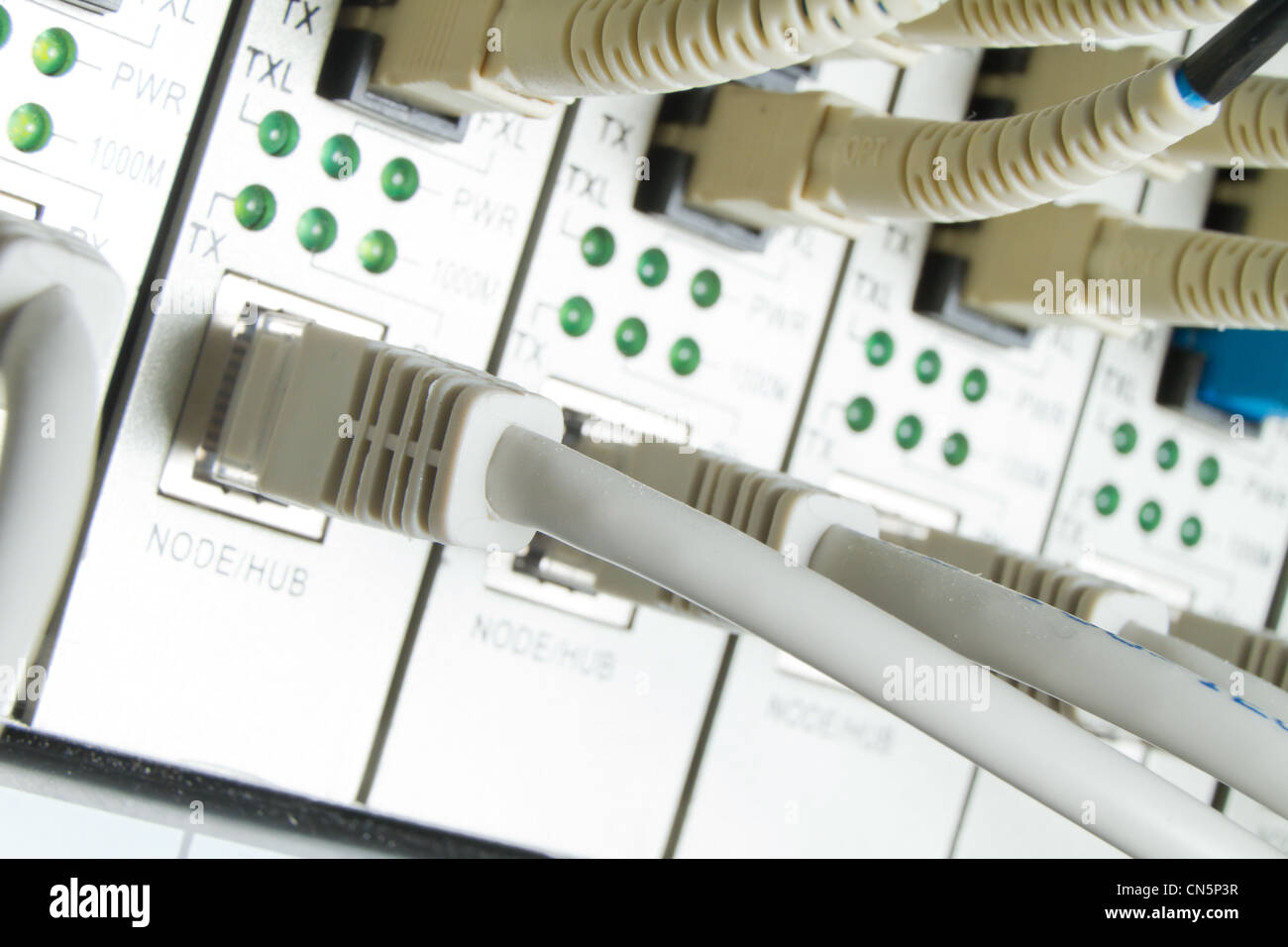 close up of network cables connected to switch Stock Photo - Alamy