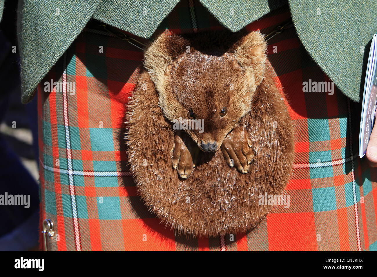 United Kingdom, Scotland, Strathclyde region, Argyll county, Oban ...