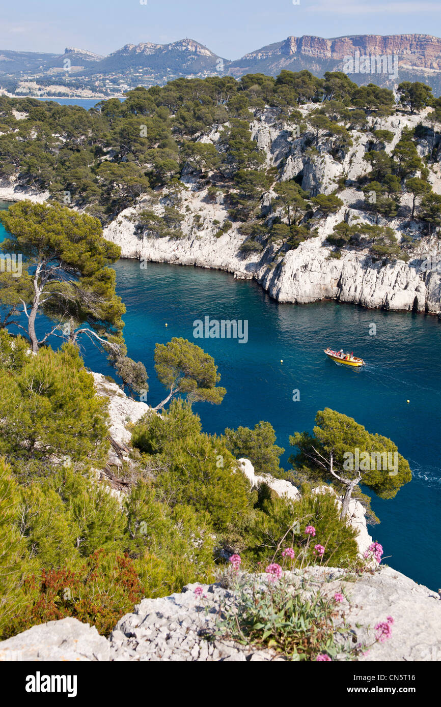 France, Bouches du Rhone, Cassis, the creek (Calanque) of Port Pin ...