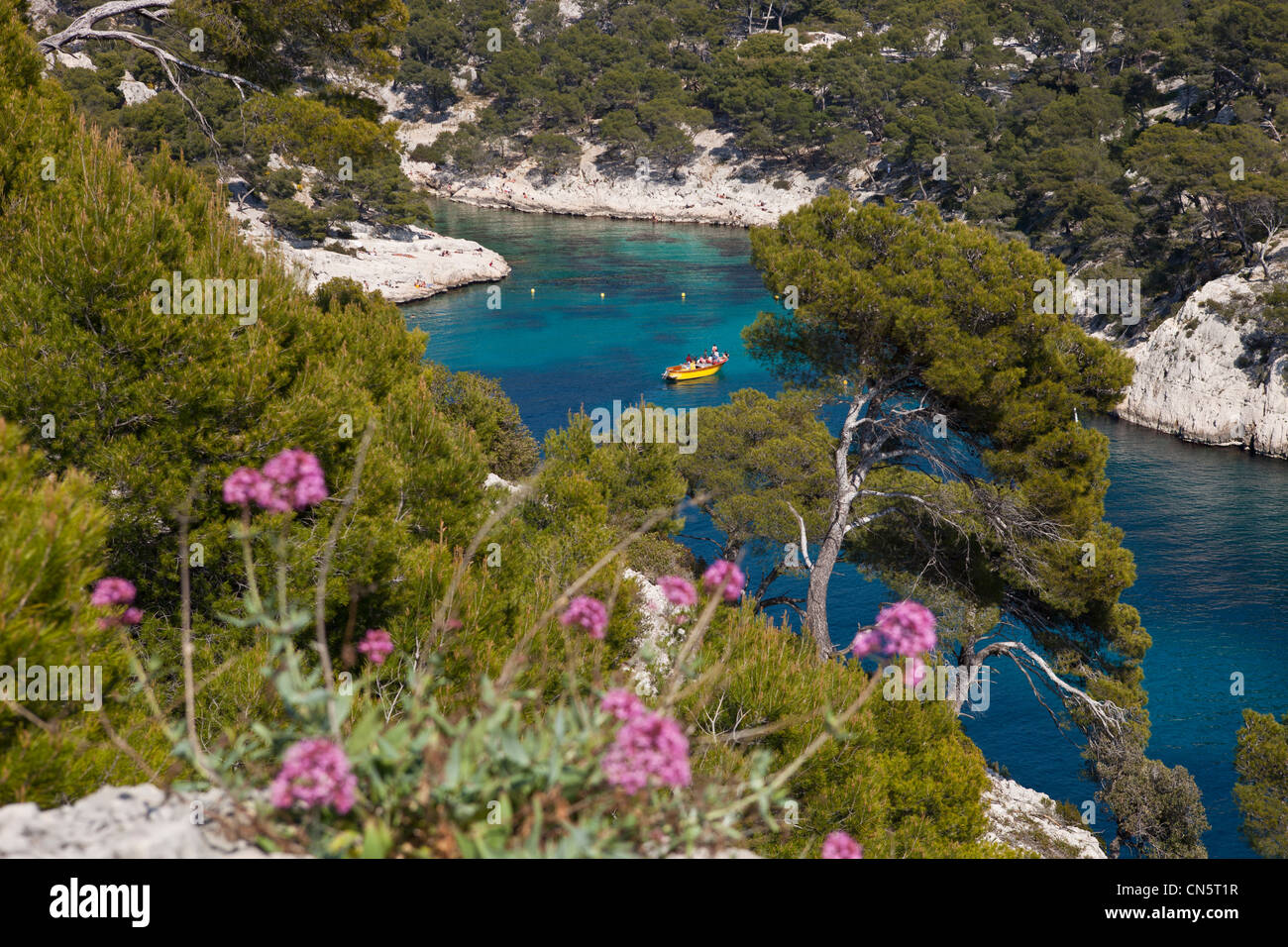 France, Bouches du Rhone, Cassis, the creek (Calanque) of Port Pin ...