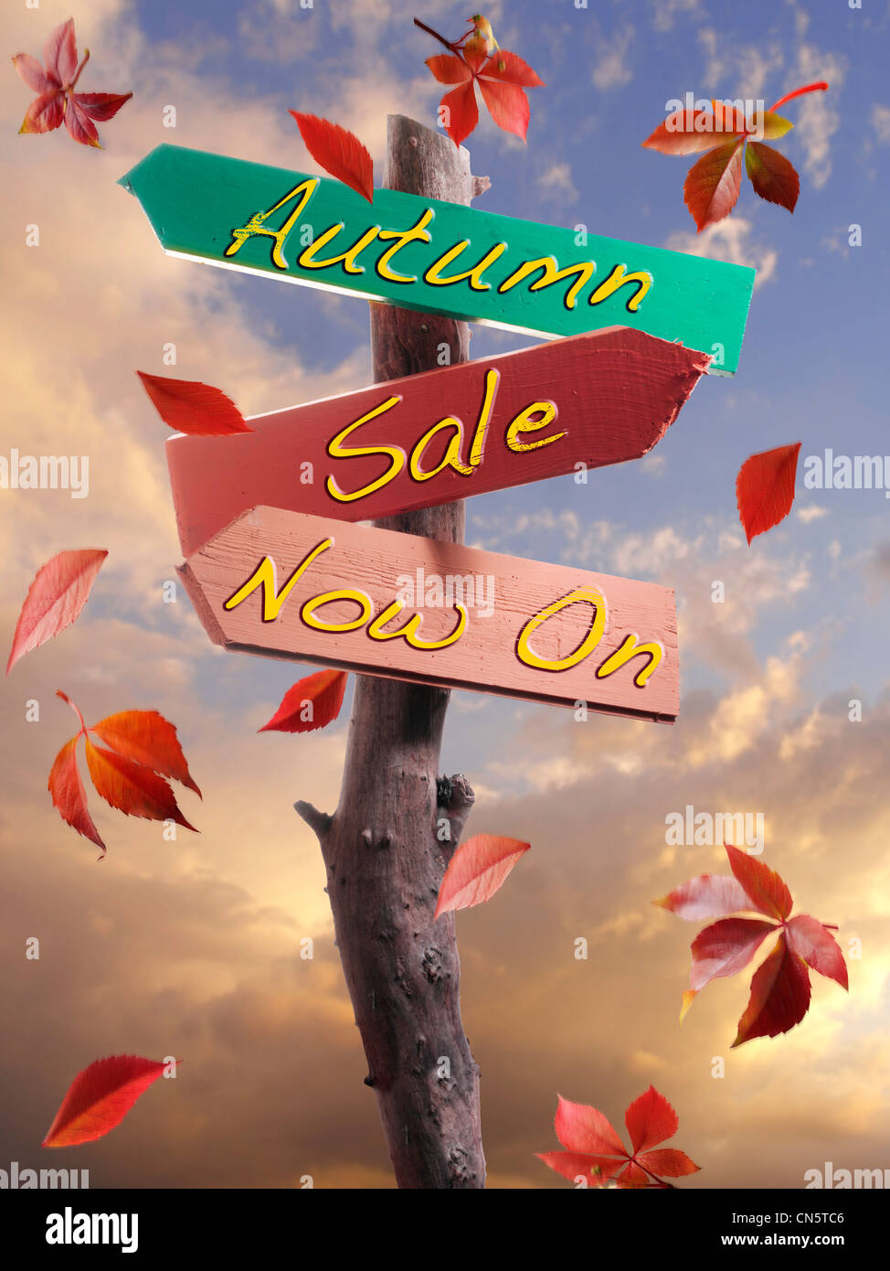rustic tyle autumn sale now on sign with leaves Stock Photo - Alamy