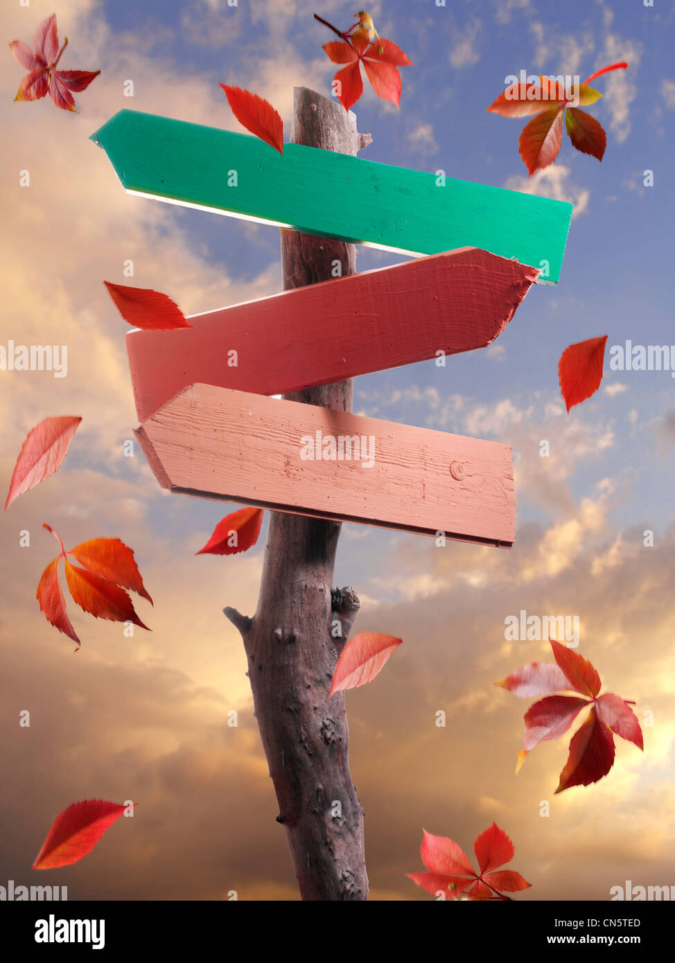 Falling autumn leaves and a wood sign for type Stock Photo - Alamy