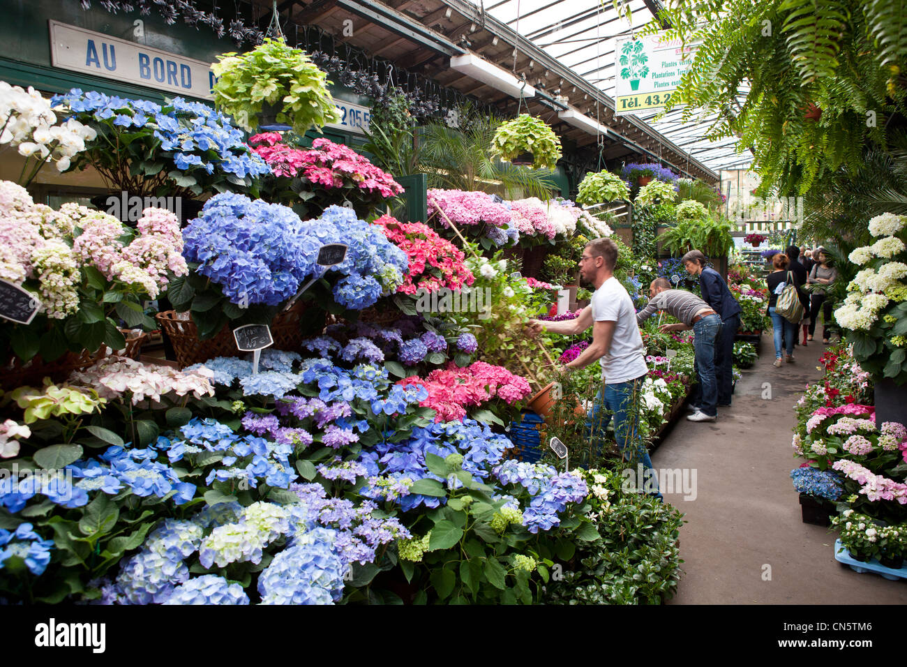 France, paris, the flower market hi-res stock photography and images ...