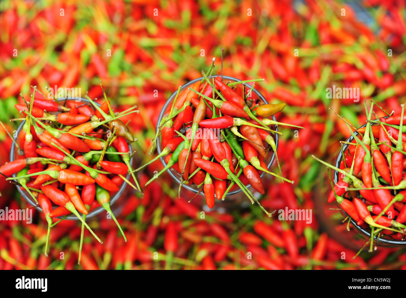 Malaysia, Borneo, Sabah State, Semporna, red chili Stock Photo - Alamy