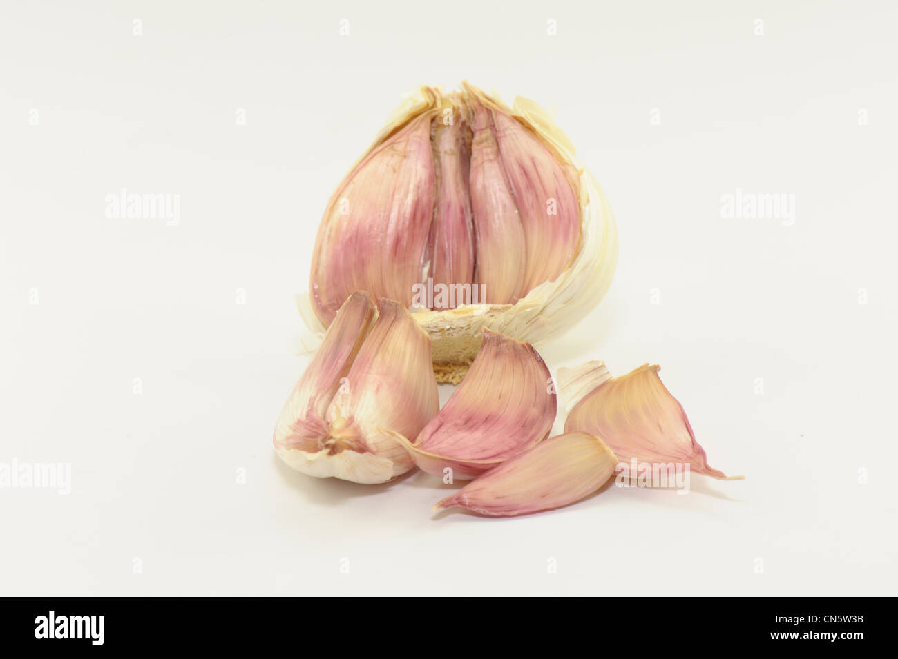 garlic bulb split open to show individual cloves taken on a white ...