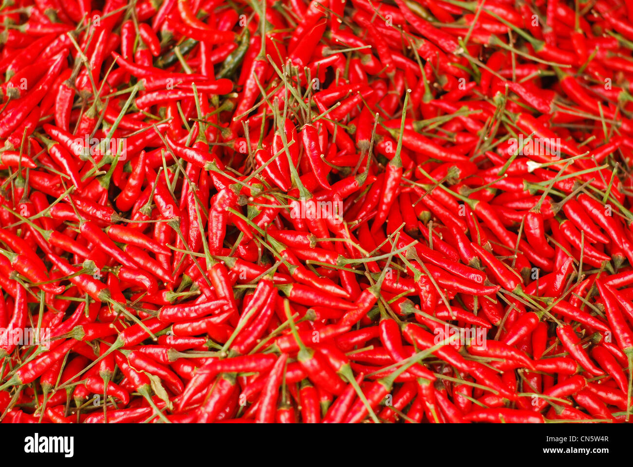 Malaysia, Borneo, Sabah State, Semporna, hot chili Stock Photo - Alamy