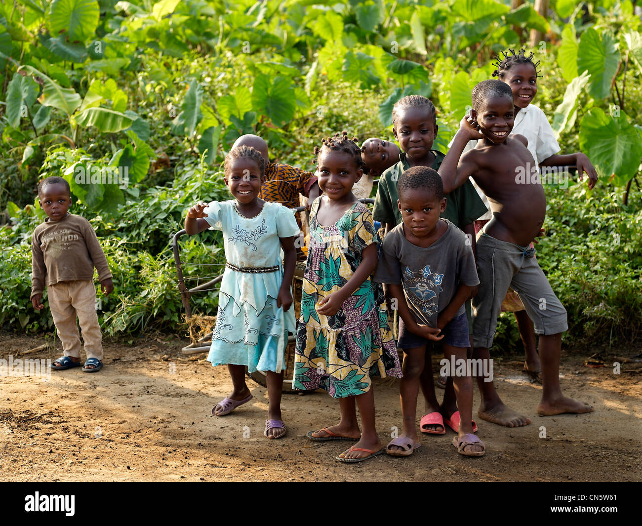 Cameroon, feature: Cameroon, a Pepper Tour Stock Photo - Alamy