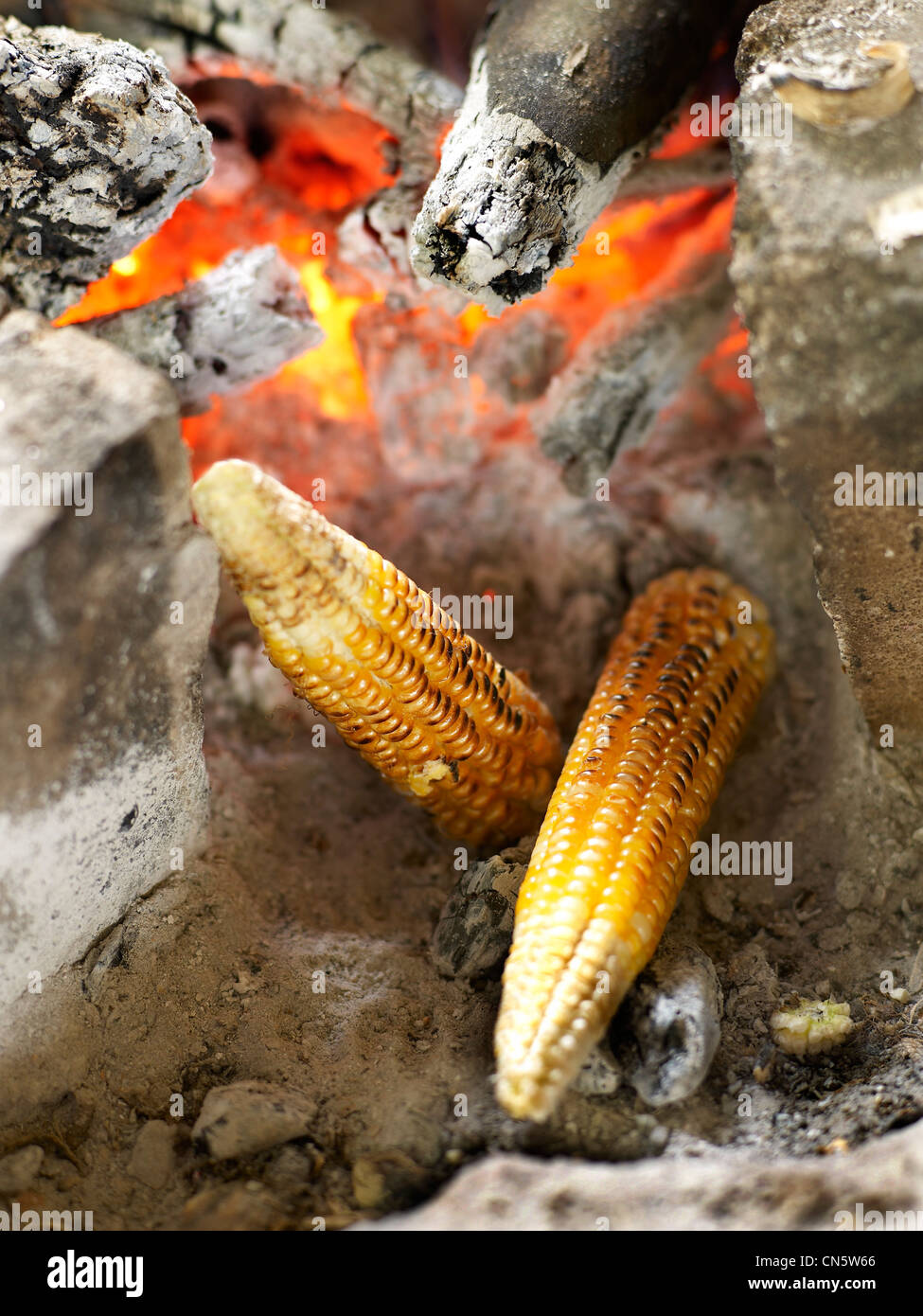 Cameroon, feature: Cameroon, a Pepper Tour Stock Photo - Alamy