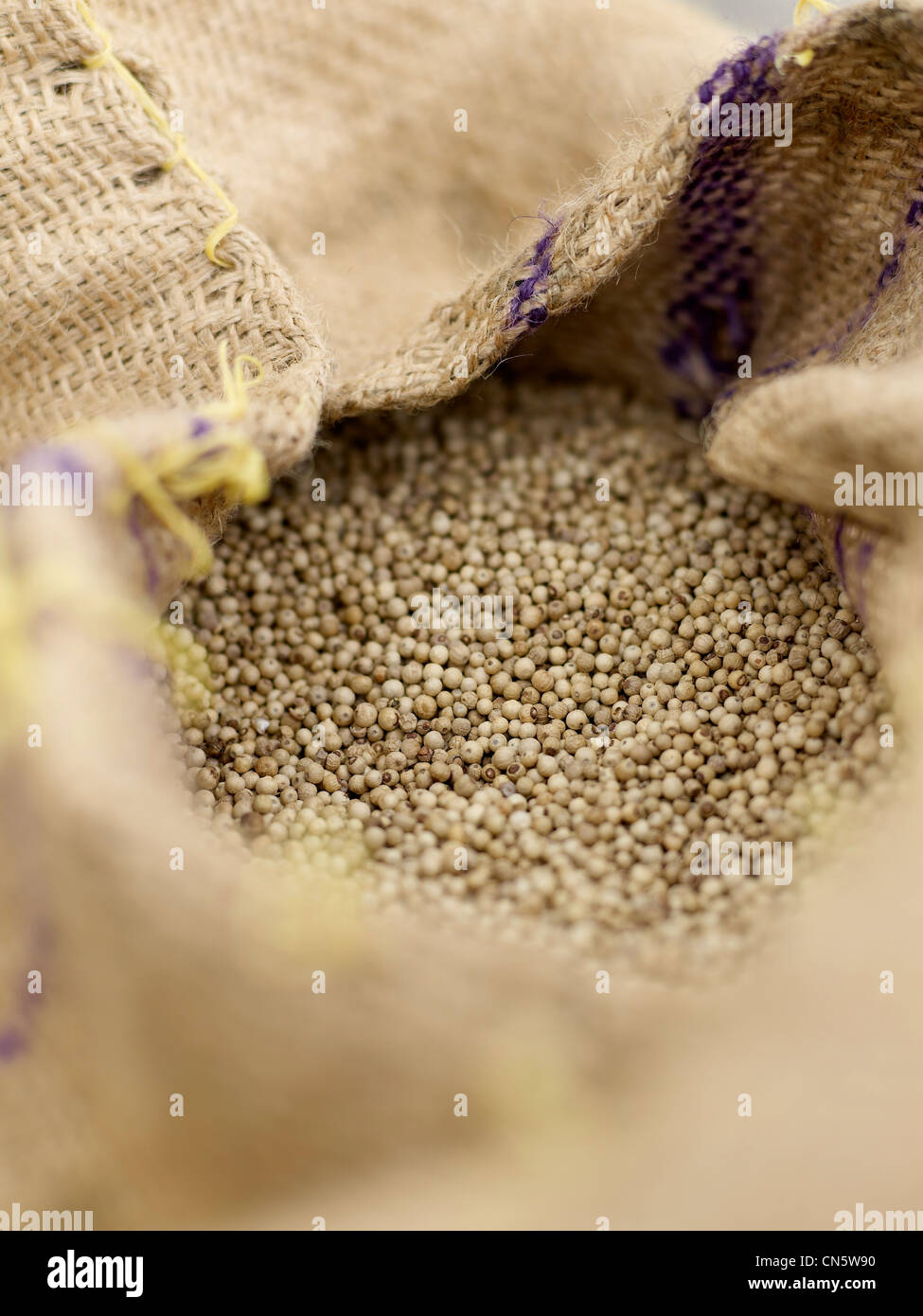 Cameroon pepper hi-res stock photography and images - Alamy