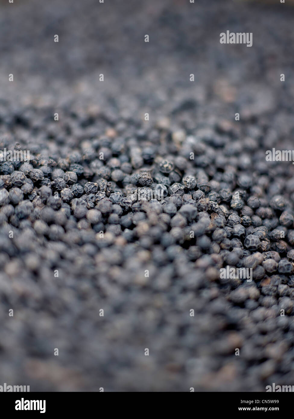 Cameroon, feature: Cameroon, a Pepper Tour Stock Photo - Alamy