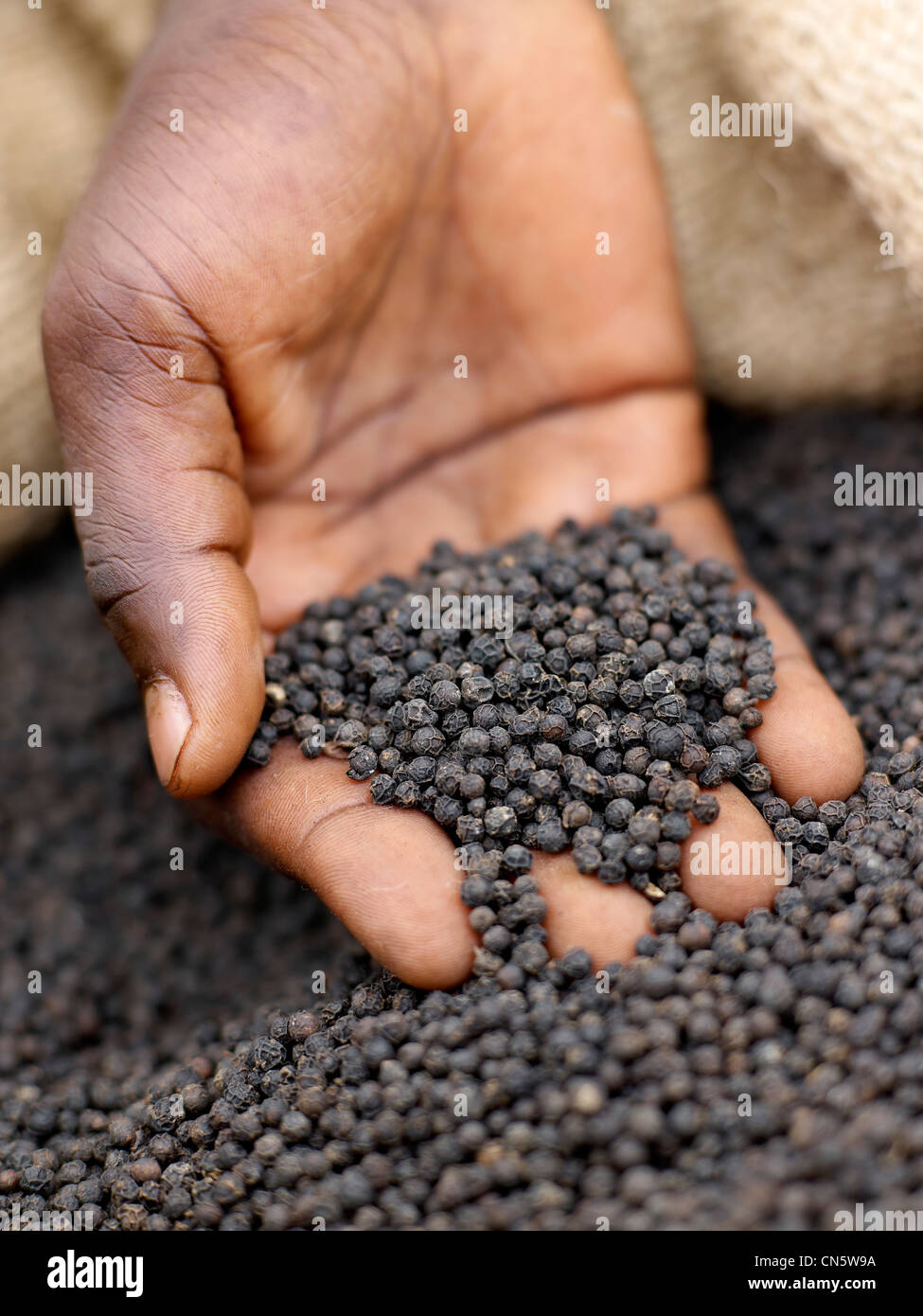 Cameroon, feature: Cameroon, a Pepper Tour Stock Photo - Alamy