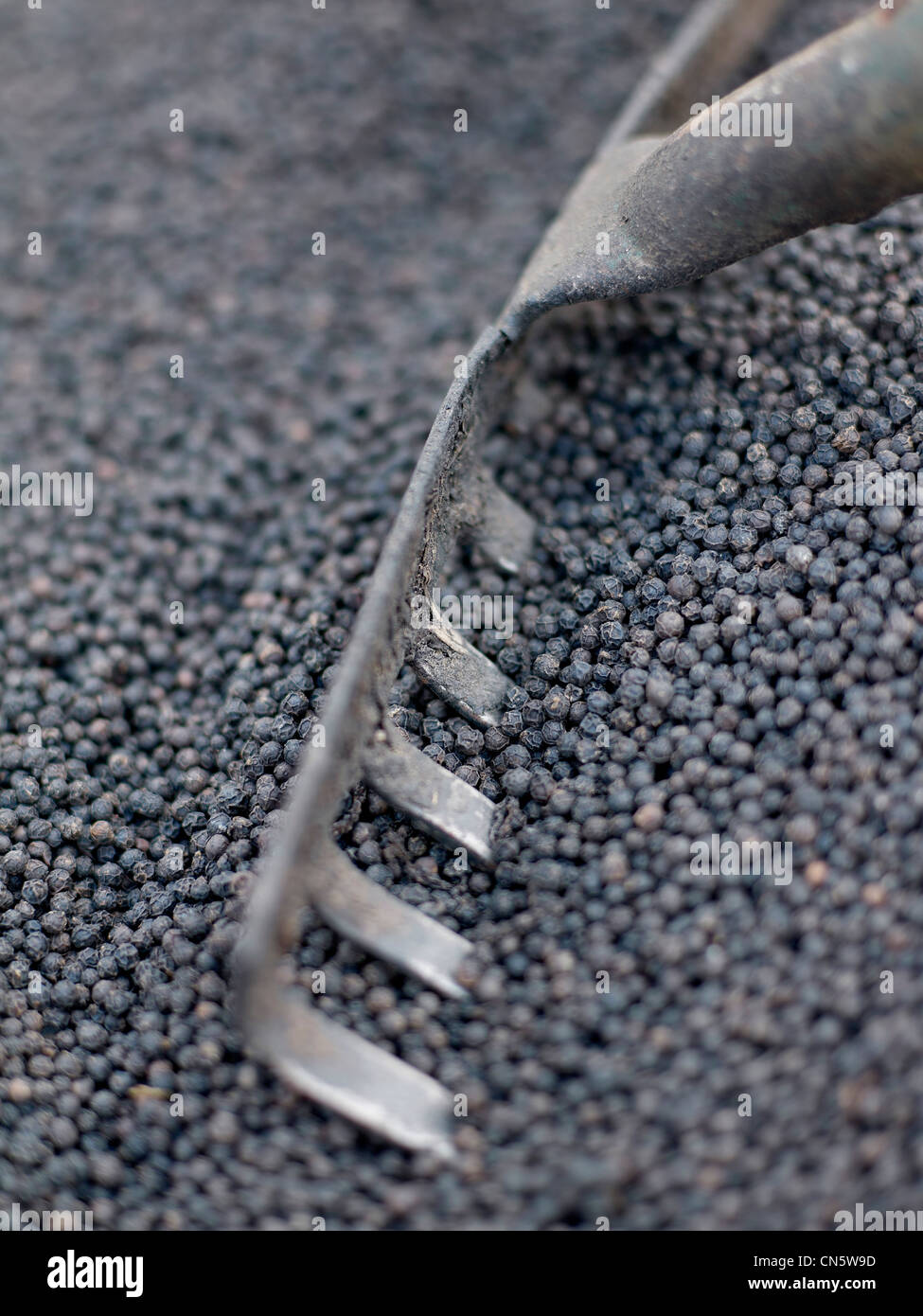 Cameroon, feature: Cameroon, a Pepper Tour Stock Photo - Alamy