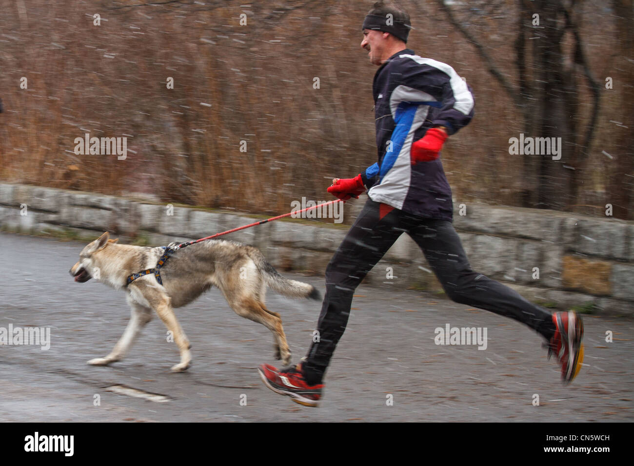 Runner with a dog Stock Photo - Alamy