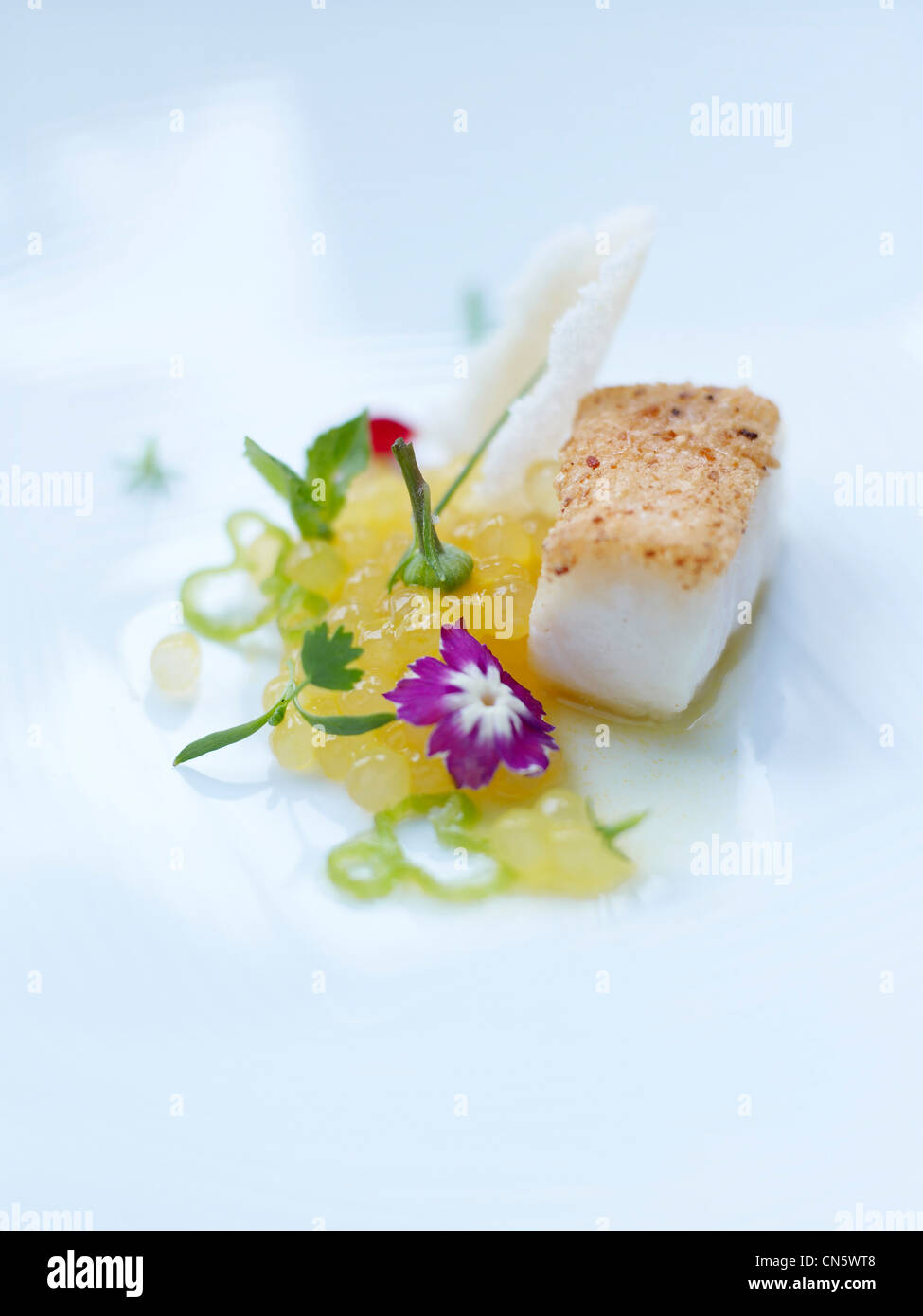 Tapioca brazil food hi-res stock photography and images - Alamy