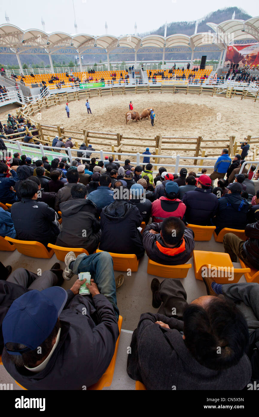 South Korea, South Gyeongsang Province, Uiryeong, audience watching ...