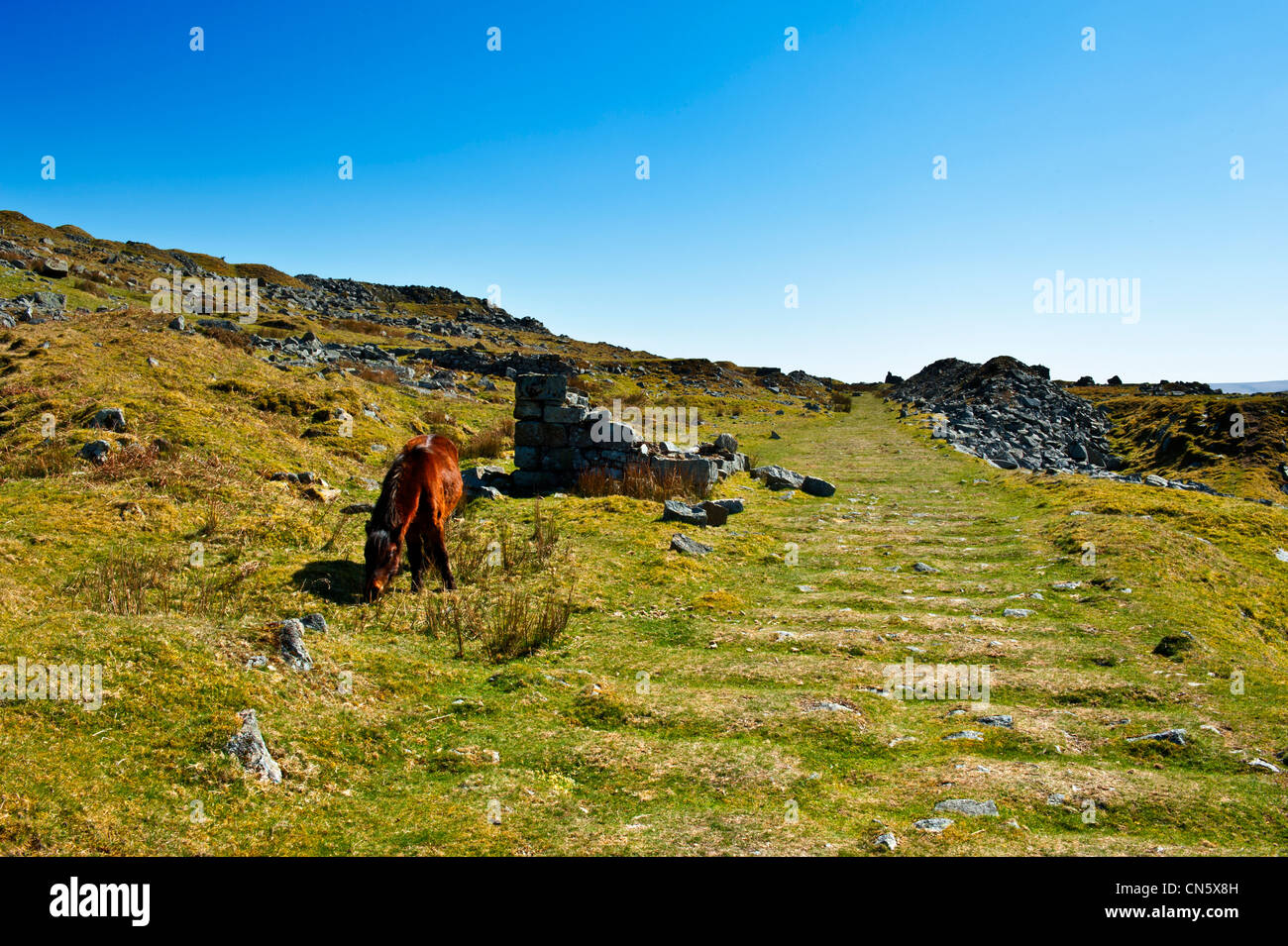 Gorse and granite wall hi-res stock photography and images - Alamy