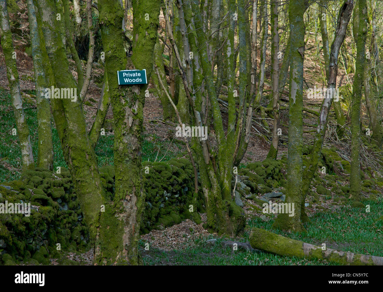 Cumbria lake district lakes winster hi-res stock photography and images ...