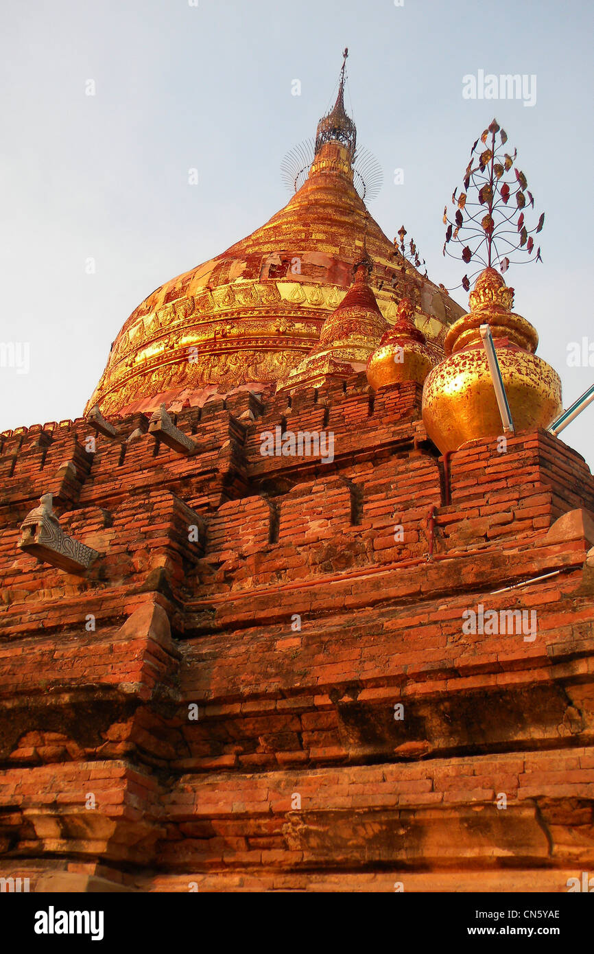 Patho hi-res stock photography and images - Alamy