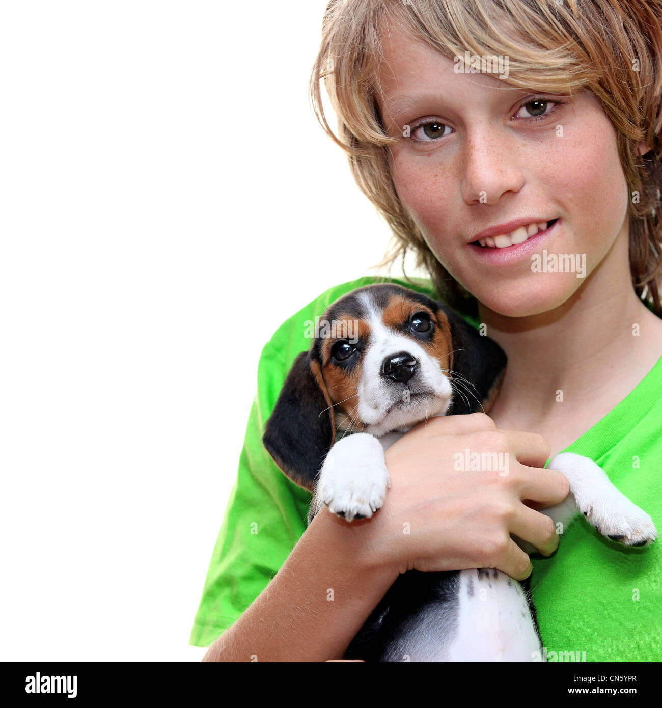 Beagle boys hi-res stock photography and images - Alamy