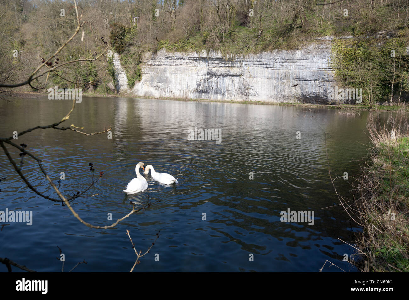 The weir,pool and crag at Water Cum Jolly on the river Wye at ...