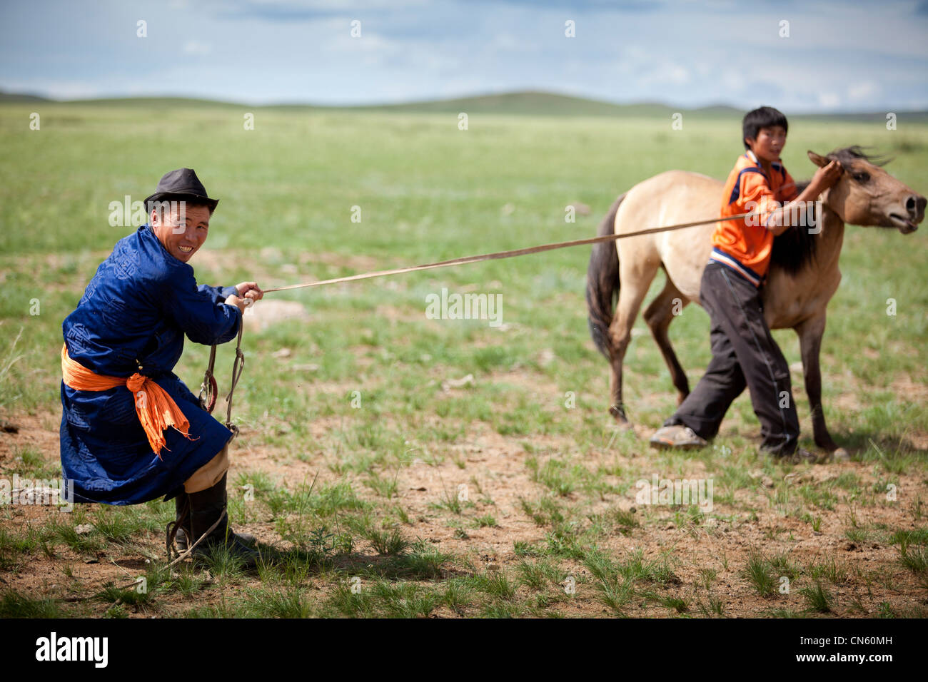 Mongolia steppe pony hi-res stock photography and images - Alamy