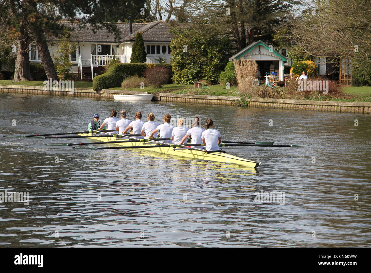 Rowing on the thames hi-res stock photography and images - Alamy