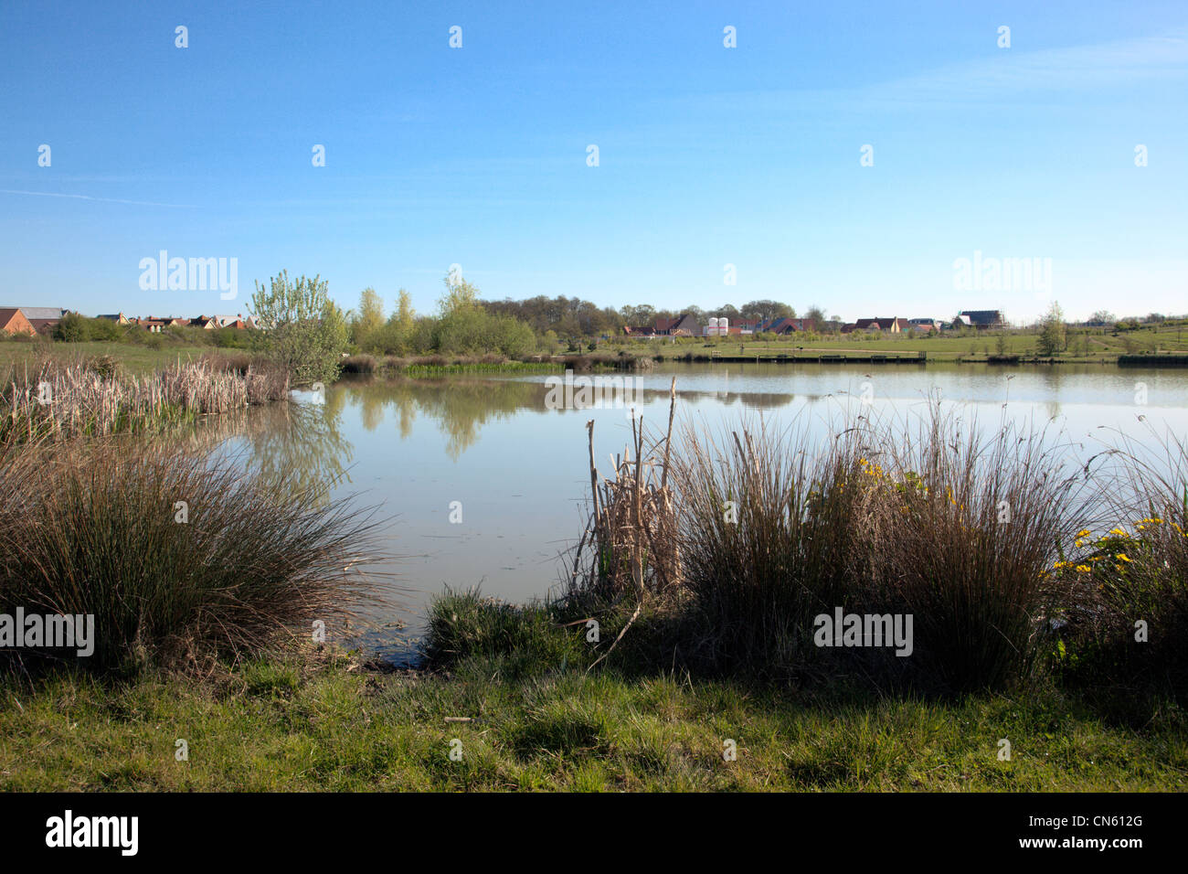 Lake Ewart Cambourne Country Park Cambridgeshire England Stock Photo ...