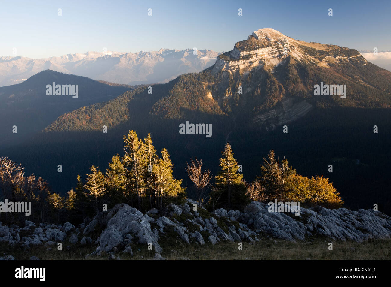France, Isere, Parc Naturel Regional de Chartreuse (Natural regional ...